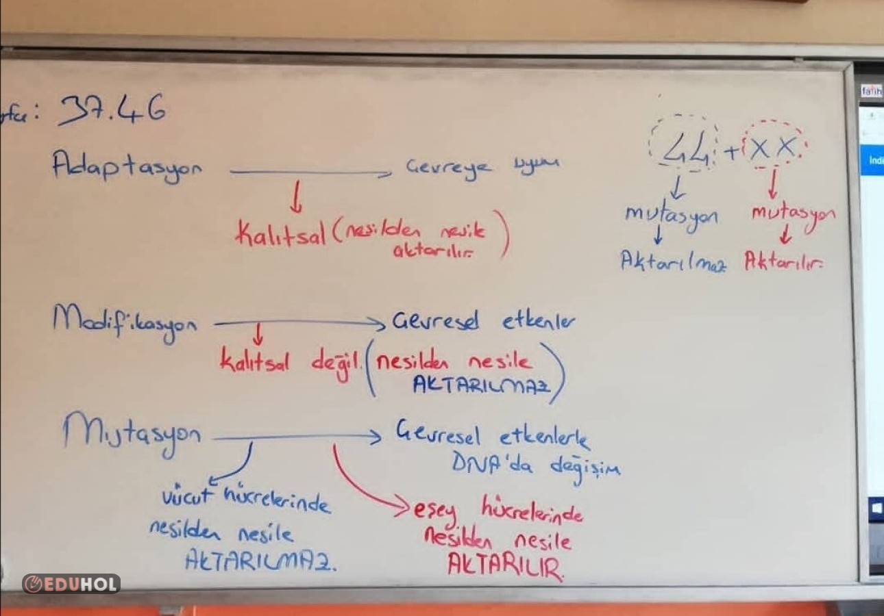 Mutasyon Modifikasyon Adaptasy... | Eduhol - Ders Videoları İzle Online ...