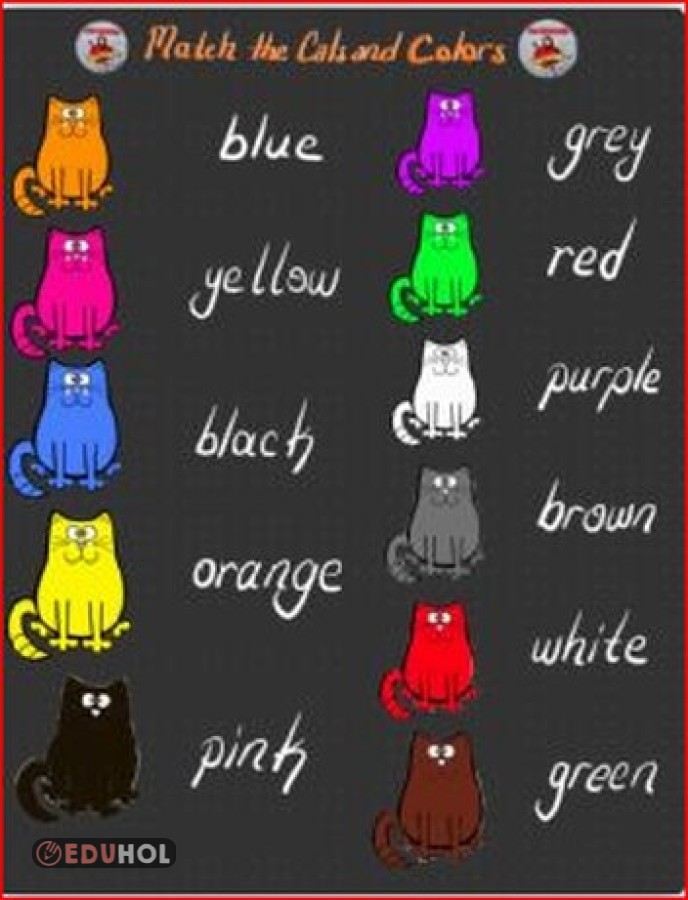 Cat Colors | Eduhol - Ders Videoları İzle Online Test Çöz Etkinlik İndir